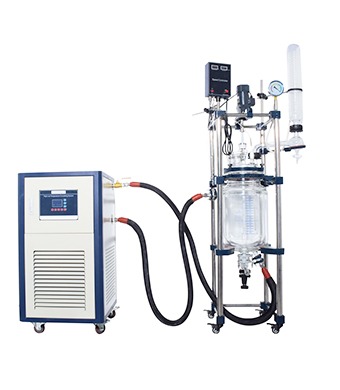 Continuous Glass Stirred Tank Reactor - CSTR Manufacturer -WKIE Lab