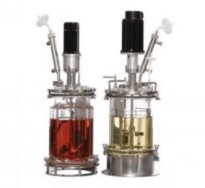 Glass Bioreactor - 5L,10L Jacketed Glass Bioreactor Vessel-WKIE Lab