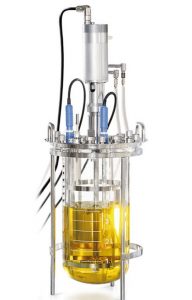 Glass Bioreactor - 5L,10L Jacketed Glass Bioreactor Vessel-WKIE Lab