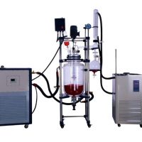 Batch Reactor Design - Batch Glass Reactor - WKIE LAB.com